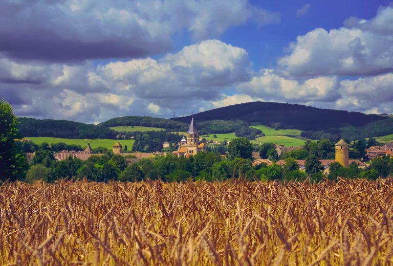 A Foodie’s Guide to Avoiding Glyphosate (And Other Bad Stuff) – Grain ...