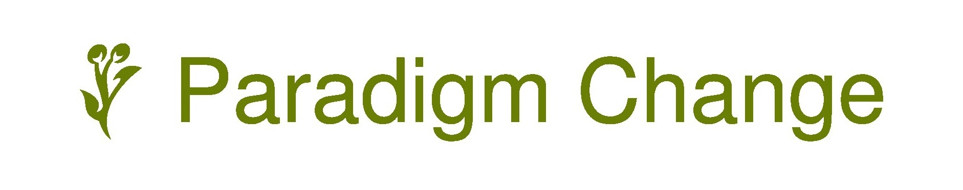 Border Logo (1) - Paradigm Change