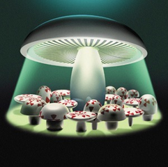 Radioactive Fungi - Paradigm Change